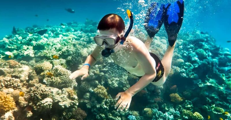 From Hoi An/ Da Nang: Swimming & Snorkeling In Cham Islands - Exploring Lang Beach and the Marine Sanctuary