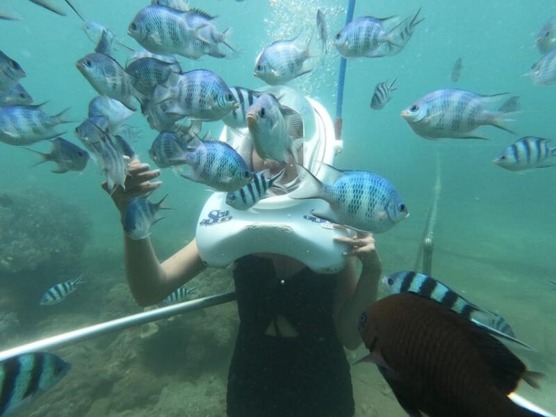 From Hoi An/ Da Nang: Swimming & Snorkeling In Cham Islands - Cultural and Historical Highlights