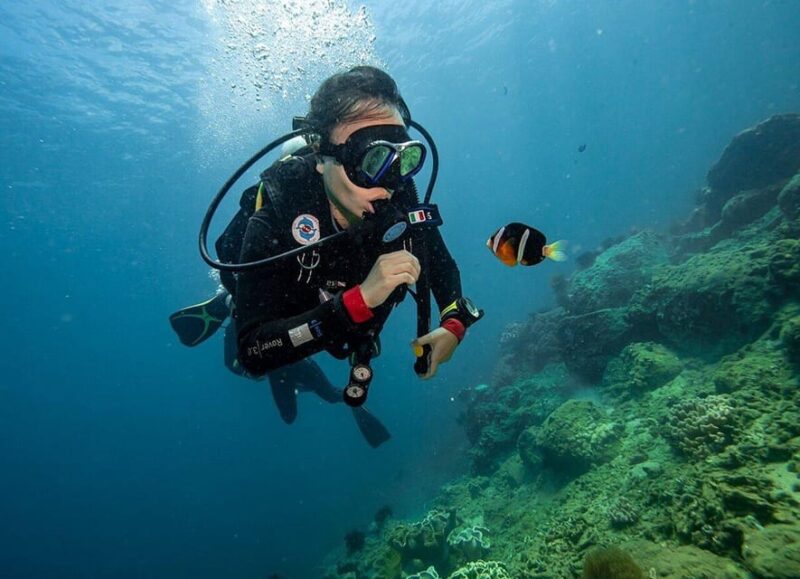 From Hoi An/ Da Nang: Swimming & Snorkeling In Cham Islands - Who Should Consider This Tour?