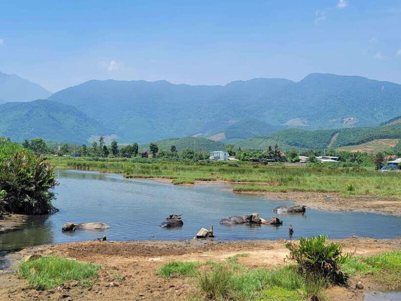 From Hoi An: Hai Van Pass Loop Tour By Easyrider - FAQ