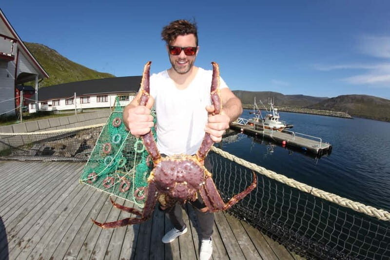 From Honningsvåg: North Cape and King Crabs Tour - Key Points
