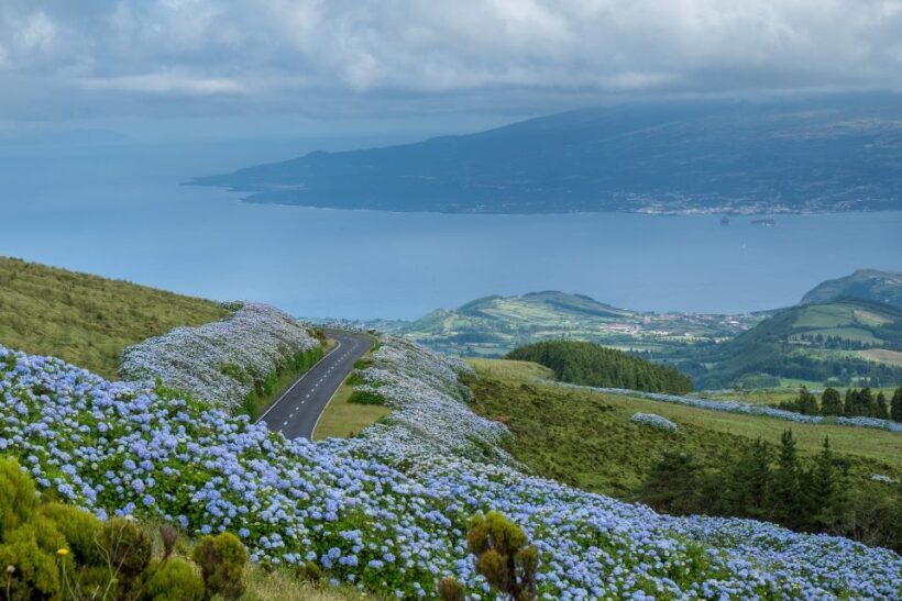From Horta: Guided Faial Island Tour - The Sum Up