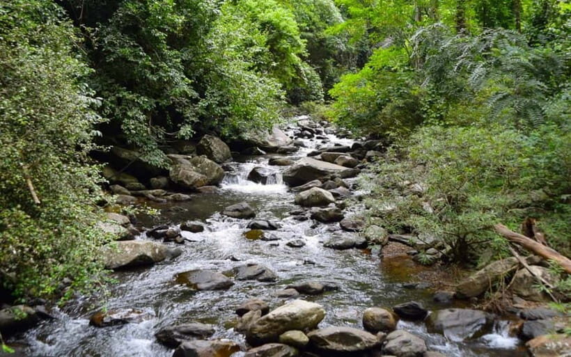 From Hua Hin: Pala U Waterfall and Huay Mongkol Temple Tour - Key Points
