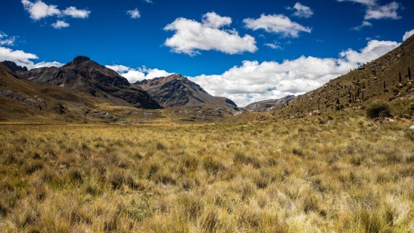 From Huaraz: Glacier Pastoruri and Puya Raimondi Day Tour - Key Points
