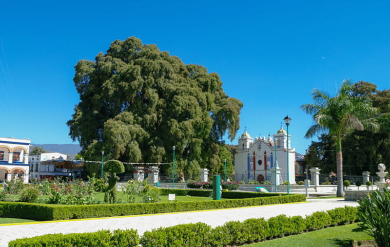 From Huatulco: 2 Days Excursion to Oaxaca City - An In-Depth Look at the Oaxaca Excursion