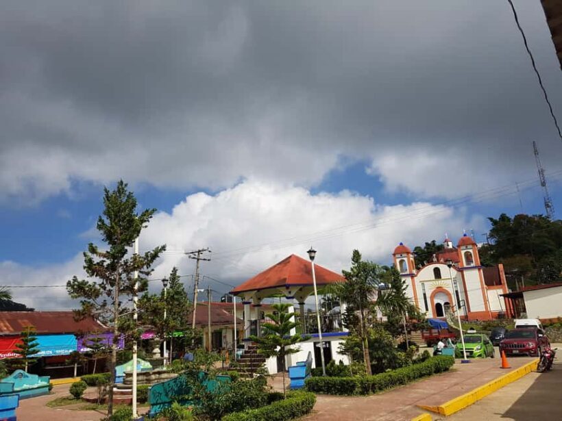 From Huatulco: 3 Levels, Coffee, Culture, and Nature Tour - Exploring the Contrasts: From Sea Level to Cloud Forests