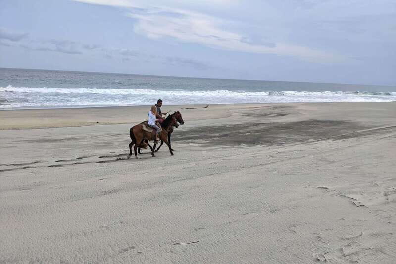 From Huatulco: Beach Horseback Riding Experience - Key Points