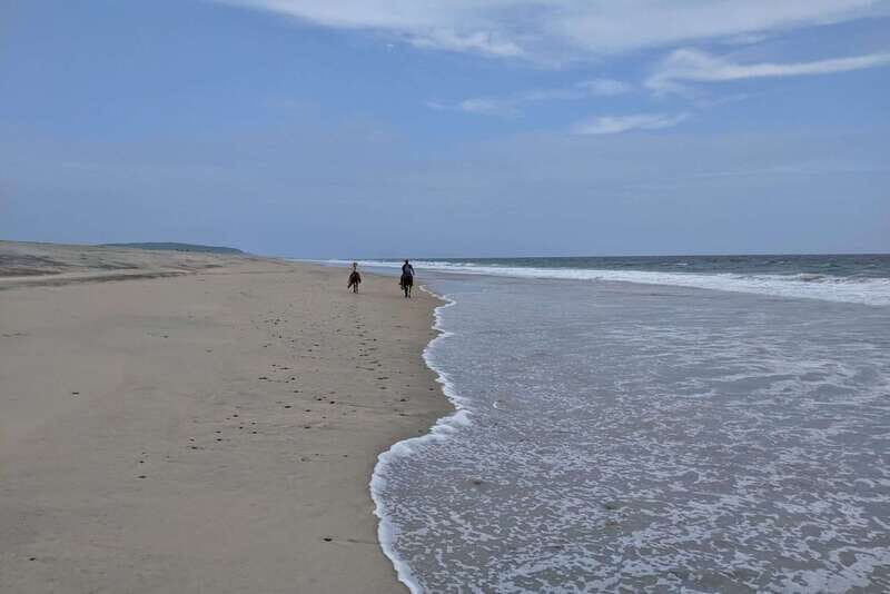 From Huatulco: Beach Horseback Riding Experience - An In-Depth Look at the Huatulco Beach Horseback Riding Experience