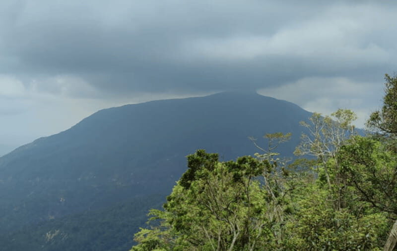 From Huatulco: Coffee and Mezcal Tour - Exploring Oaxaca’s Mountain Culture from Huatulco