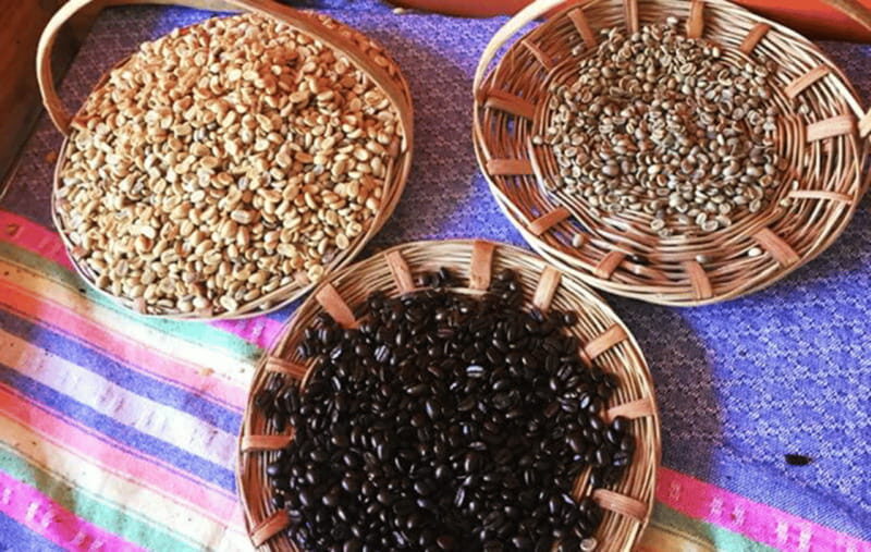 From Huatulco: Coffee and Mezcal Tour - Authenticity and Quality: What Travelers Say