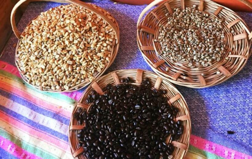 From Huatulco: Coffee and Mezcal Tour - FAQ