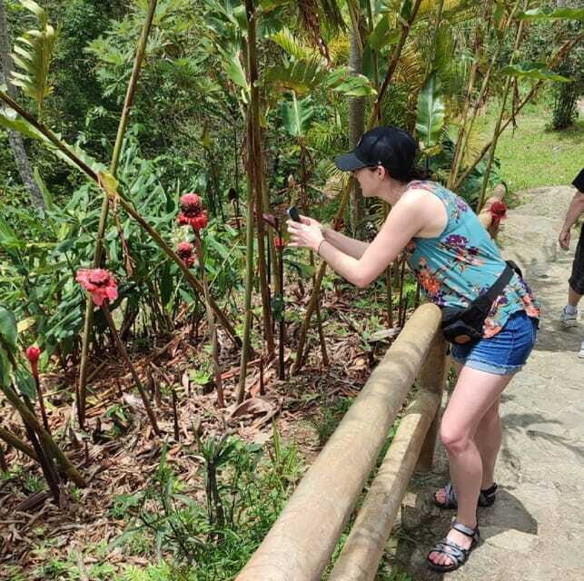 From Huatulco: Coffee Private Experience - Final thoughts: Who should consider this tour?