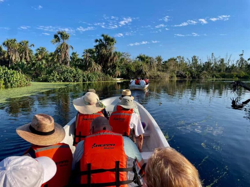 From Huatulco: Crocodile and Turtle Eco-Tour - Ventanilla Lagoon: Wildlife and Ecosystem