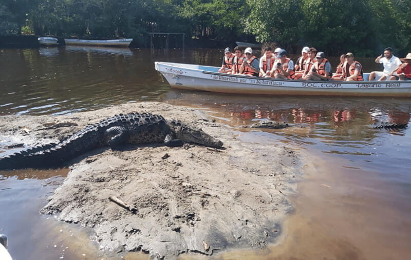 From Huatulco: Crocodiles and Turtles Eco Tour - FAQ