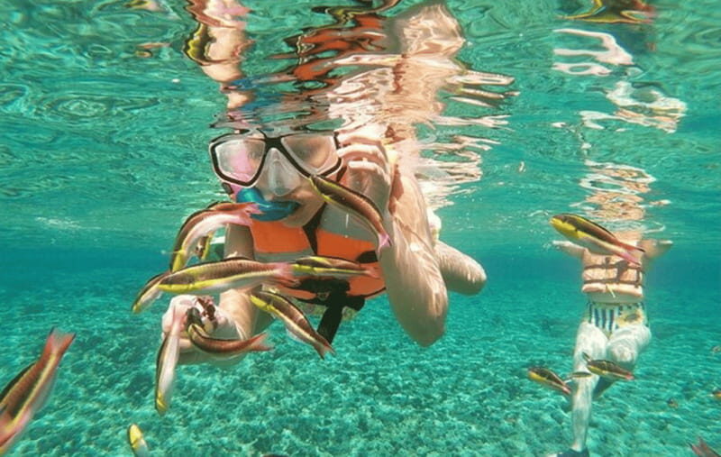 From Huatulco: Snorkel and La Entrega Beach Visit - Key Points