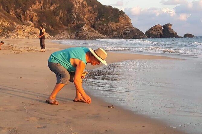 From Huatulco: Turtle Release & Bioluminescence - Authentic Experience and What Travelers Love
