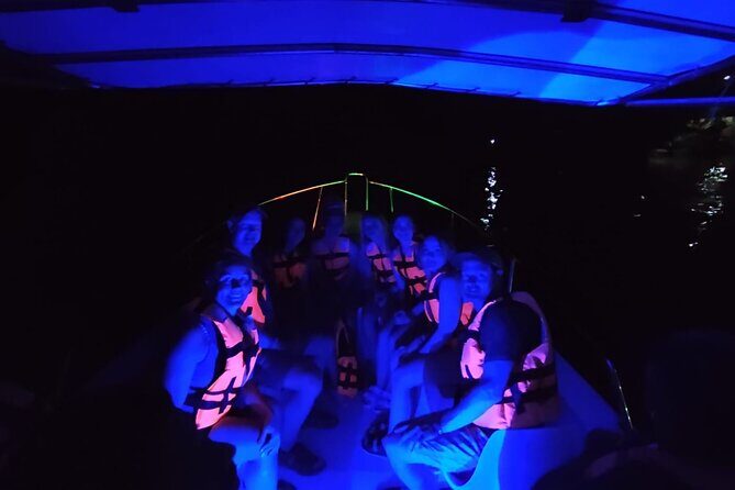 From Huatulco: Turtle Release & Bioluminescence - Who Should Consider This Tour?