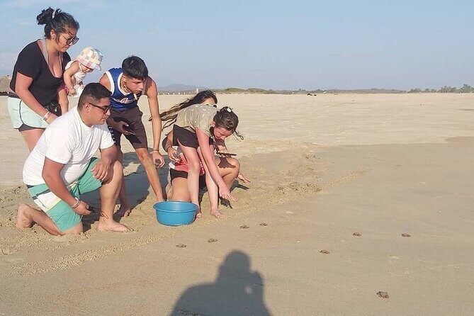 From Huatulco: Turtle Release & Bioluminescence - FAQs