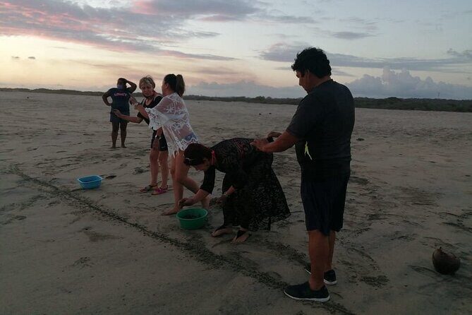 From Huatulco: Turtle Release & Bioluminescence - Final Thoughts