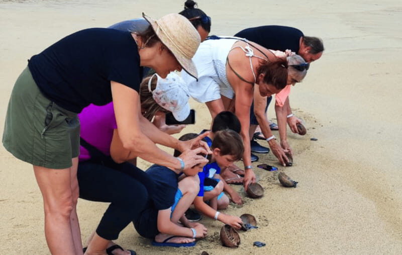 From Huatulco:Turtle Release and Bioluminescence Tour - The Experience Provider — Lamby Tours Huatulco