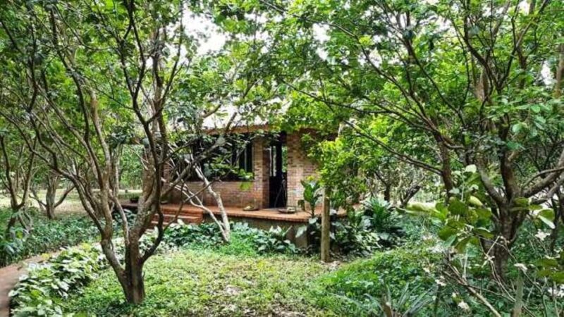 From Hue: 1 day COOKING CLASS IN THUY BIEU VILLAGE - Who This Tour Is Best For