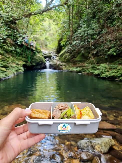From Hue: Bach Ma National Park Tour with Picnic Lunch - Final Thoughts: Who Is This Tour Best For?