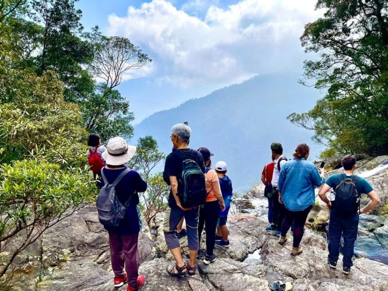 From Hue : Trekking Bach Ma National Park Day Trip - Authentic Experience and What Travelers Say