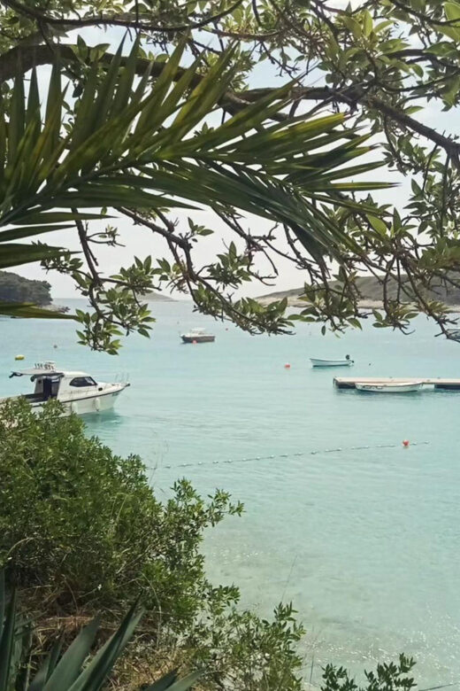 From Hvar: Pakleni Islands Private Boat Tour - Who Will Love This Experience?