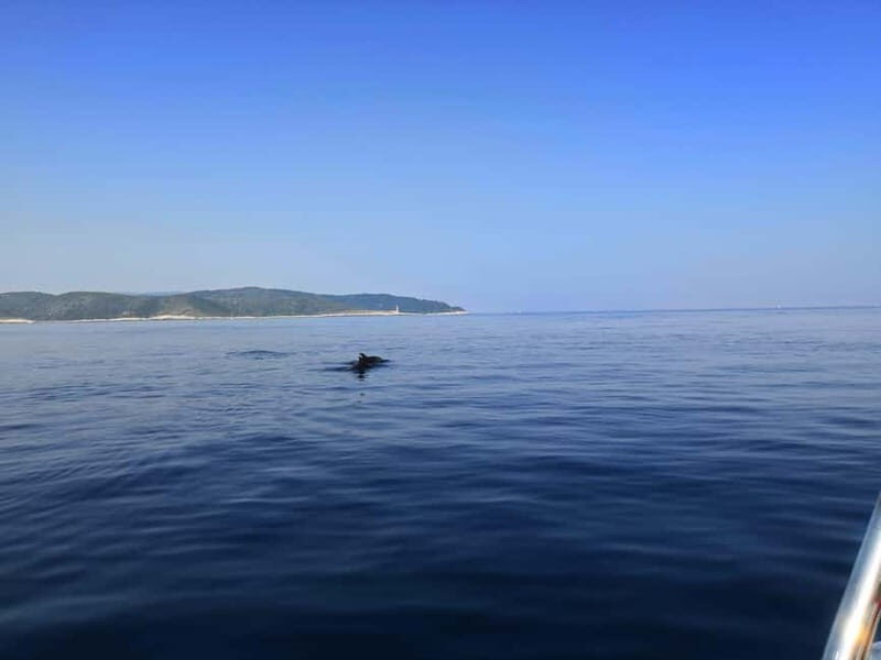 From Hvar: Unforgetable Tour to the Island Vis and Blue Cave - The Experience: Authentic, Intimate, and Adventure-Filled