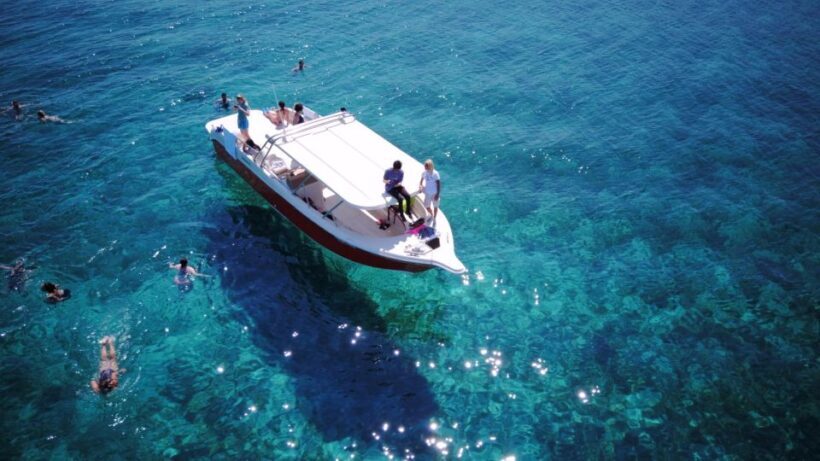 From Hvar: Vis Island and Blue Cave Speedboat Tour - An In-Depth Look at the Experience