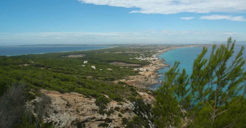 From Ibiza: Ferry and Guided Bus Excursion in Formentera - Who Will Love This Tour