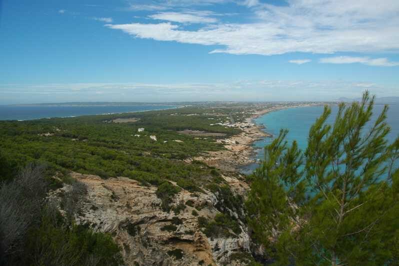 From Ibiza: Ferry and Guided Bus Excursion in Formentera - The Sum Up