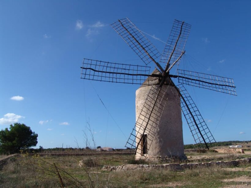 From Ibiza: Ferry and Guided Bus Excursion in Formentera - FAQ
