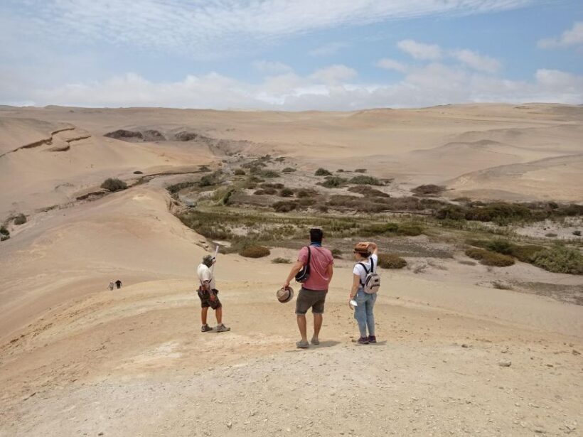 From Ica: Canyon of the lost Day Trip - Key Points