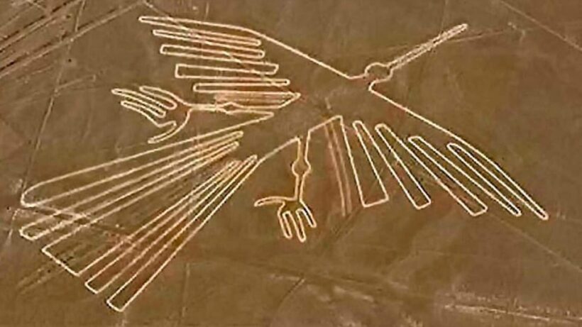From Ica: Flight over the Nazca Lines - Detailed Breakdown of the Experience