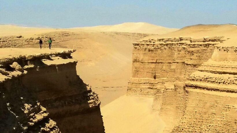 From Ica || Full Day Excursion to the Los Perdidos Canyon || - Key Points