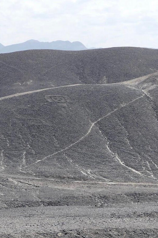 From Ica: Nazca Archaeological Tour - Key Points