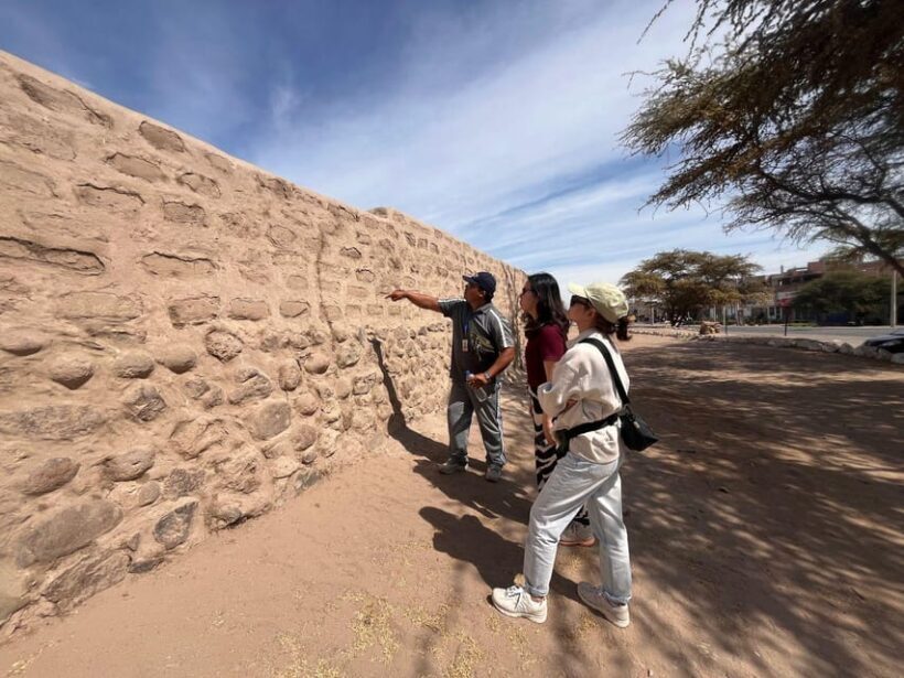 From Ica or Huacachina: Day Trip to Nazca - Key Points