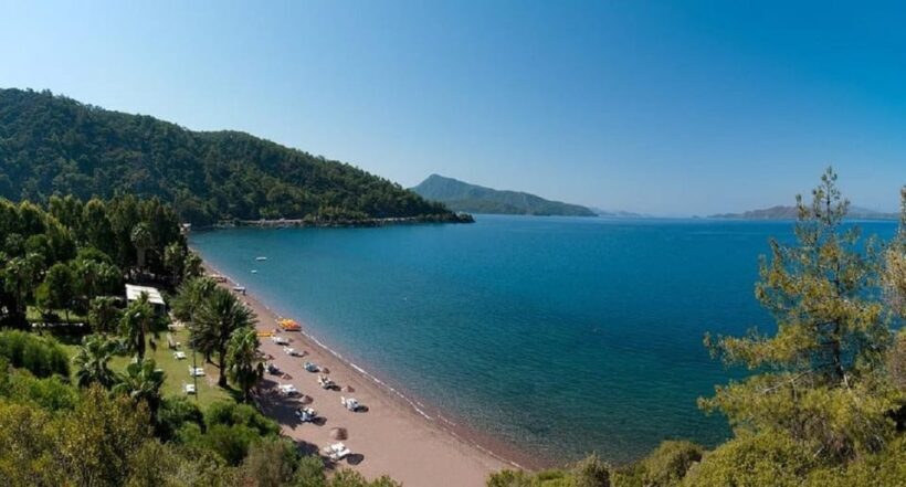 From Icmeler: Turkish Aegean Coast Boat Trip with Lunch - Kameliya Island: Ancient Ruins and Friendly Rabbits