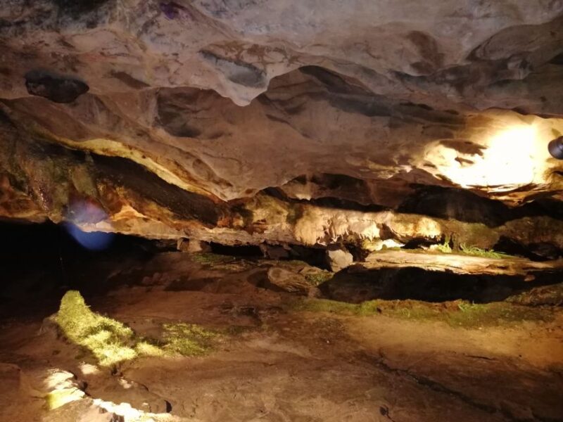 From Interlaken: Beatus Caves, Blue Lake and Lake Thun Tour - Since You Asked