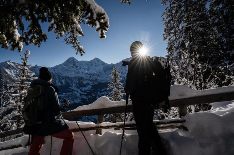 From Interlaken: Guided Snowshoe Tour Around Isenfluh - Participant Information