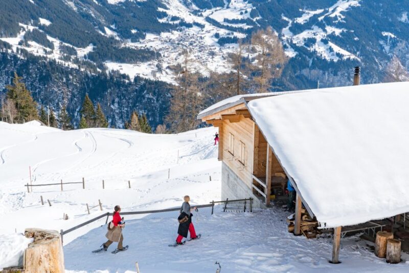 From Interlaken: Guided Snowshoe Tour Around Isenfluh - Tips for an Enjoyable Experience