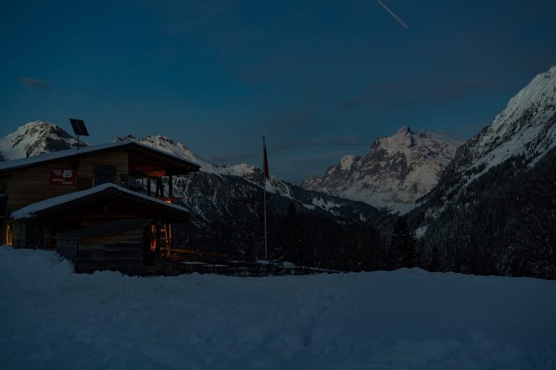 From Interlaken: Night Sledding - Booking and Availability