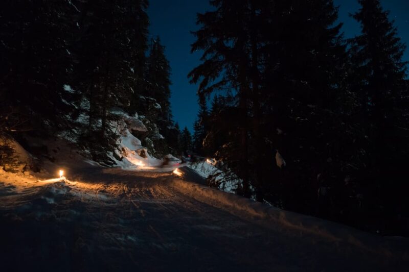 From Interlaken: Night Sledding - Exploring the Swiss Alps by Moonlight