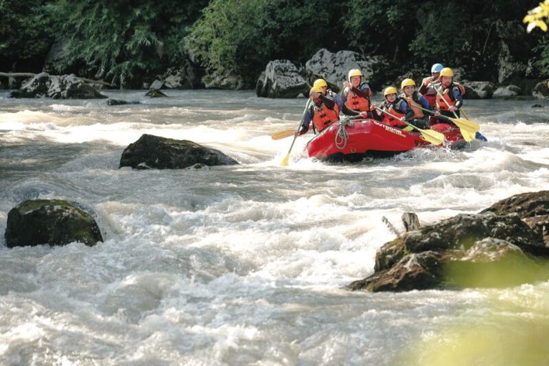 From Interlaken: River Rafting Adventure on Simme River - Customer Feedback and Ratings
