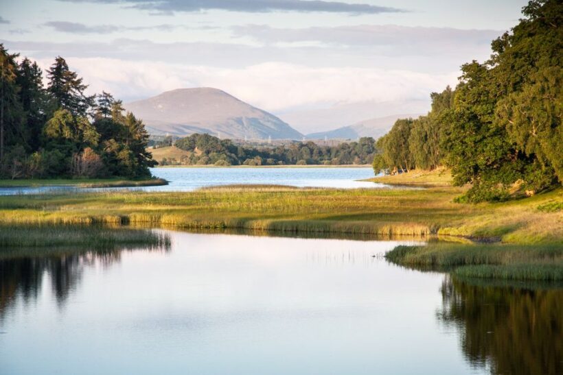 From Inverness: Cairngorms National Park and Whisky Tour - What Could Be Better?