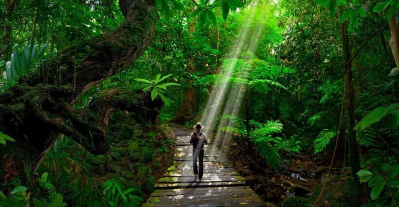 From Iquitos: Amazonas 3 Days 2 Nights - An In-Depth Look at the Tour Itinerary