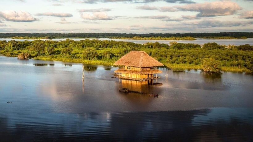 From Iquitos: Amazonas 4 Days 3 Nights - What Makes This Tour Stand Out?