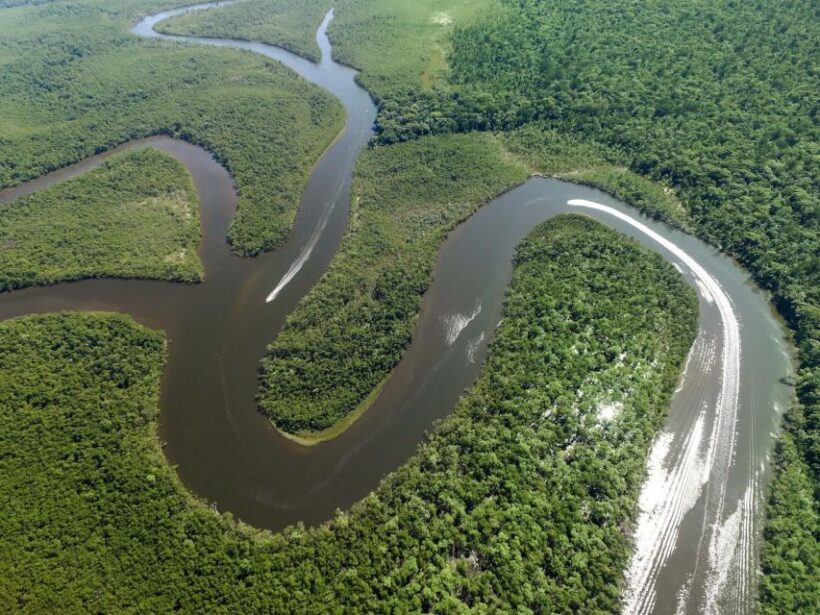 From Iquitos: Amazonas 4 Days 3 Nights - Who Will Love This Tour?