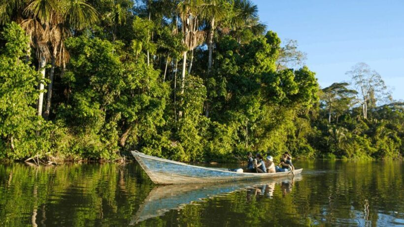From Iquitos: Full day tour in the Peruvian jungle - Introduction to the Tour